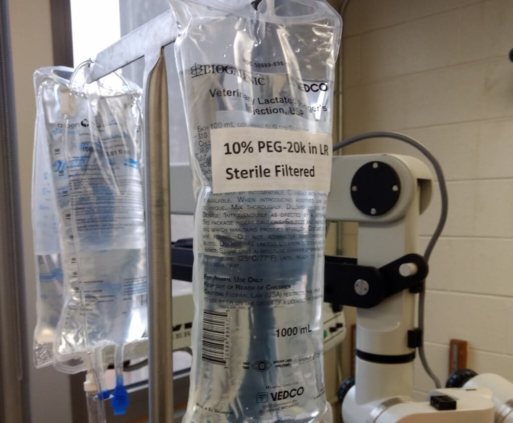 The Basics - Perfusion Medical